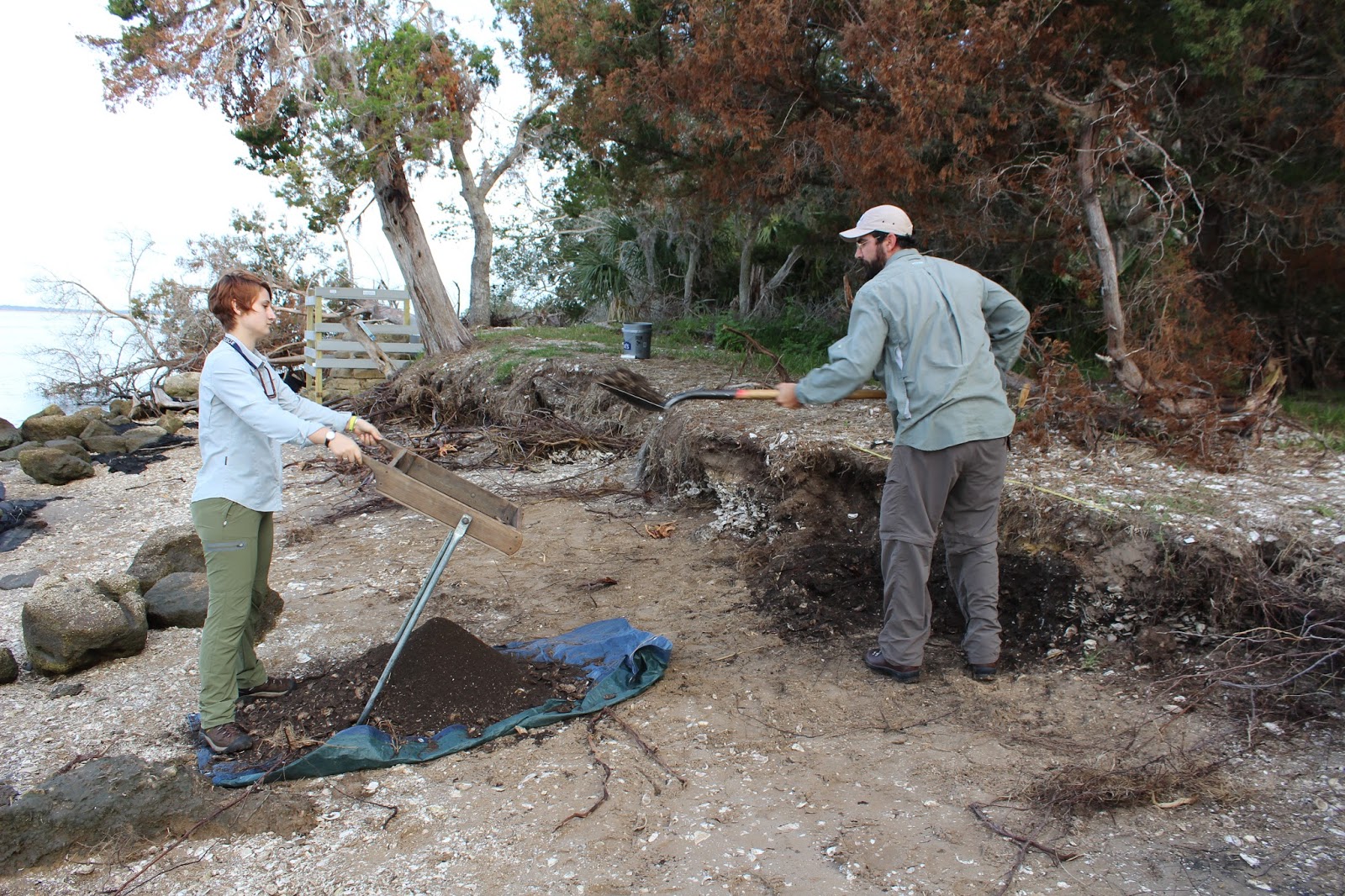 Updates from Monitoring at Shell Bluff Landing