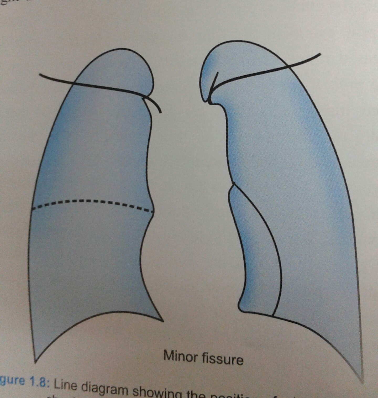 diagnostic radiology imaging