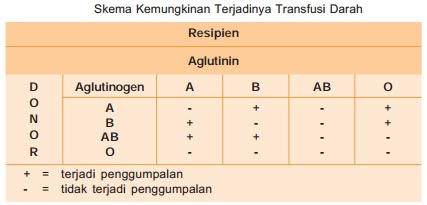 Golongan Darah dan Transfusi | Aglutinin & Aglutinogen | Rumus ...