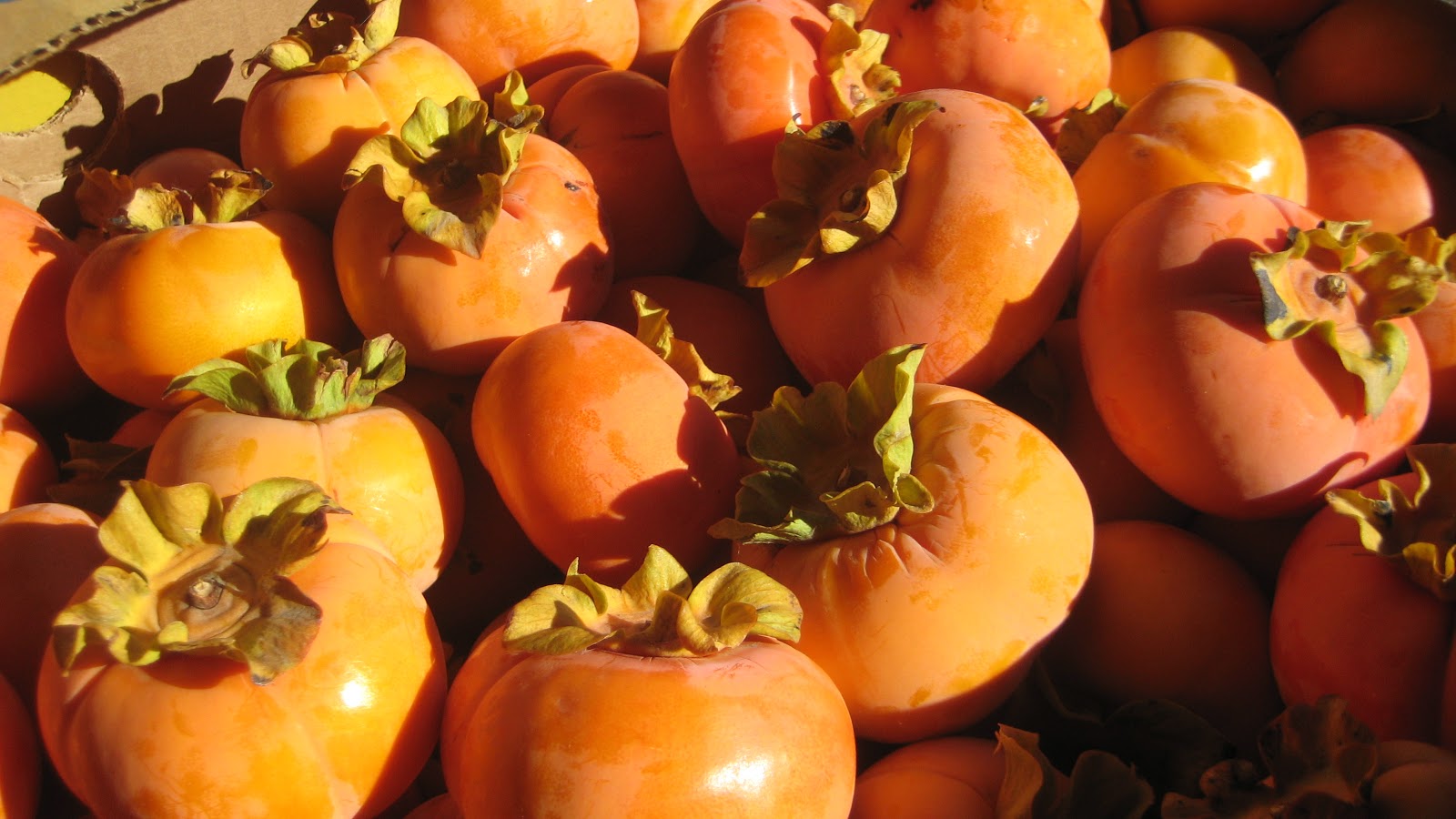 Otow Orchard Fruit Stand: 2012