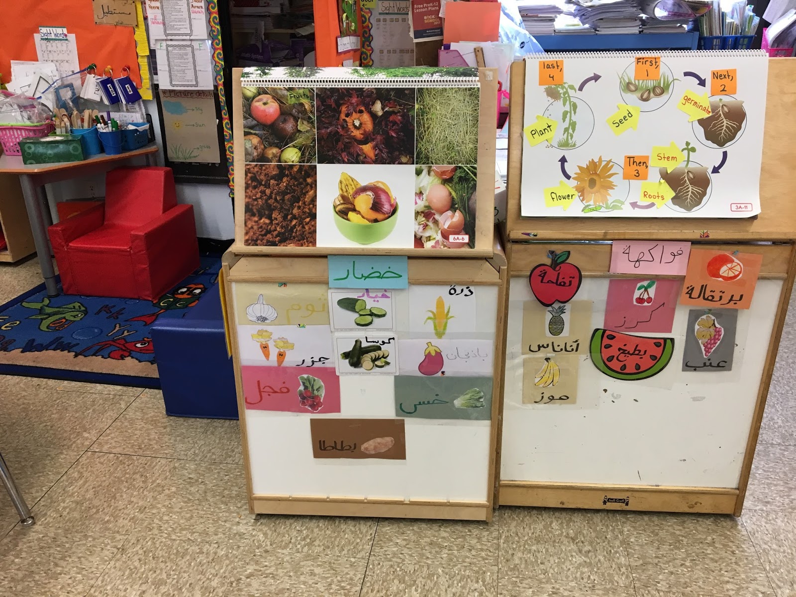 Arabic Dual Program @ PS/IS 30