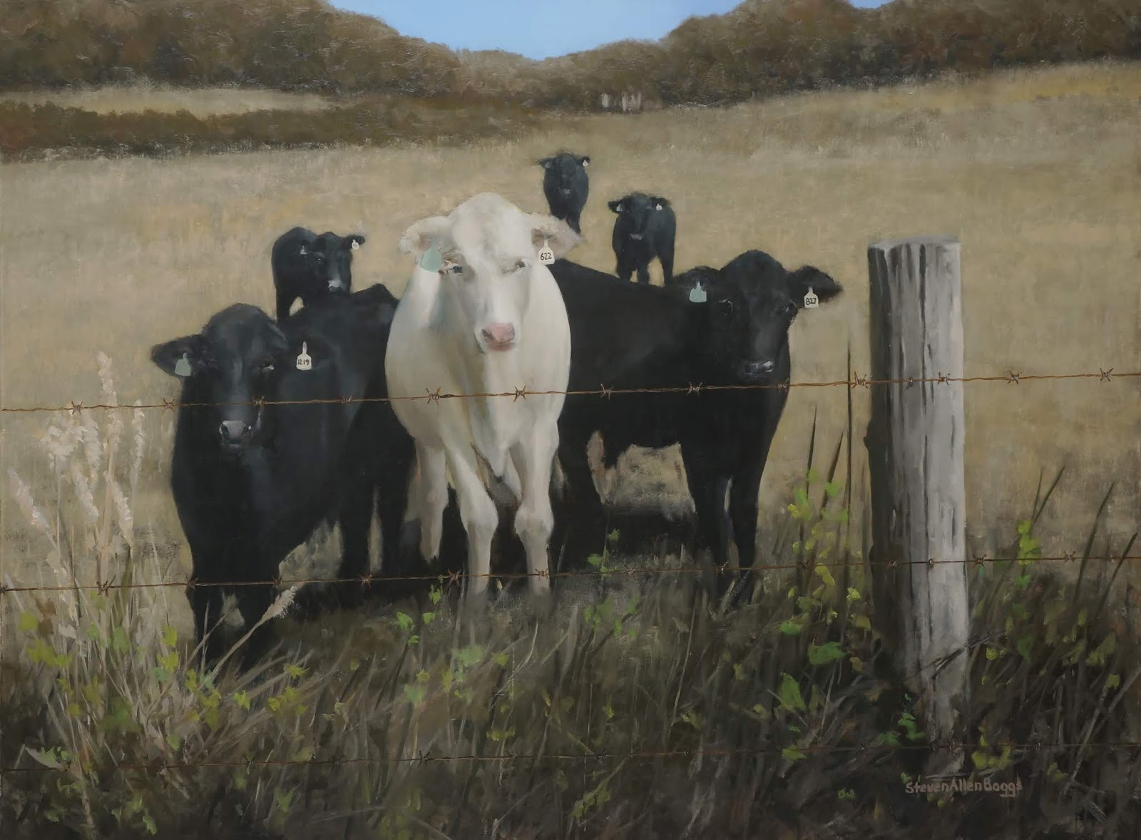 The Artwork Of Steven Allen Boggs