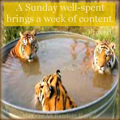A Sunday well-spent brings a week of content.