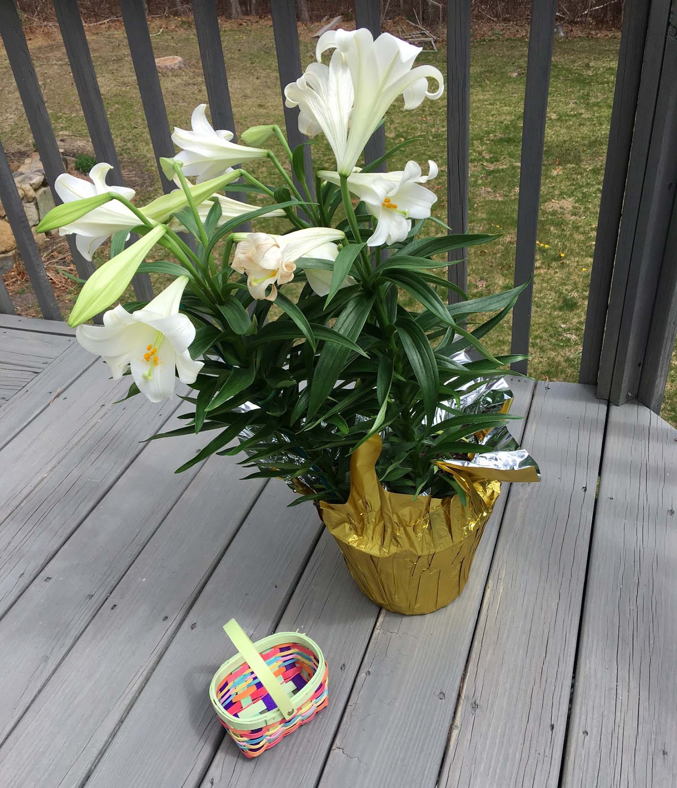 San Francisco Stitch Co.: How to make flowers in thread...