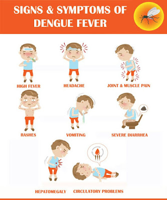 Signs and Symptoms of Dengue Fever