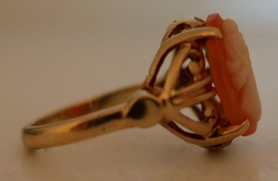 dizzy alice: cameo appearance