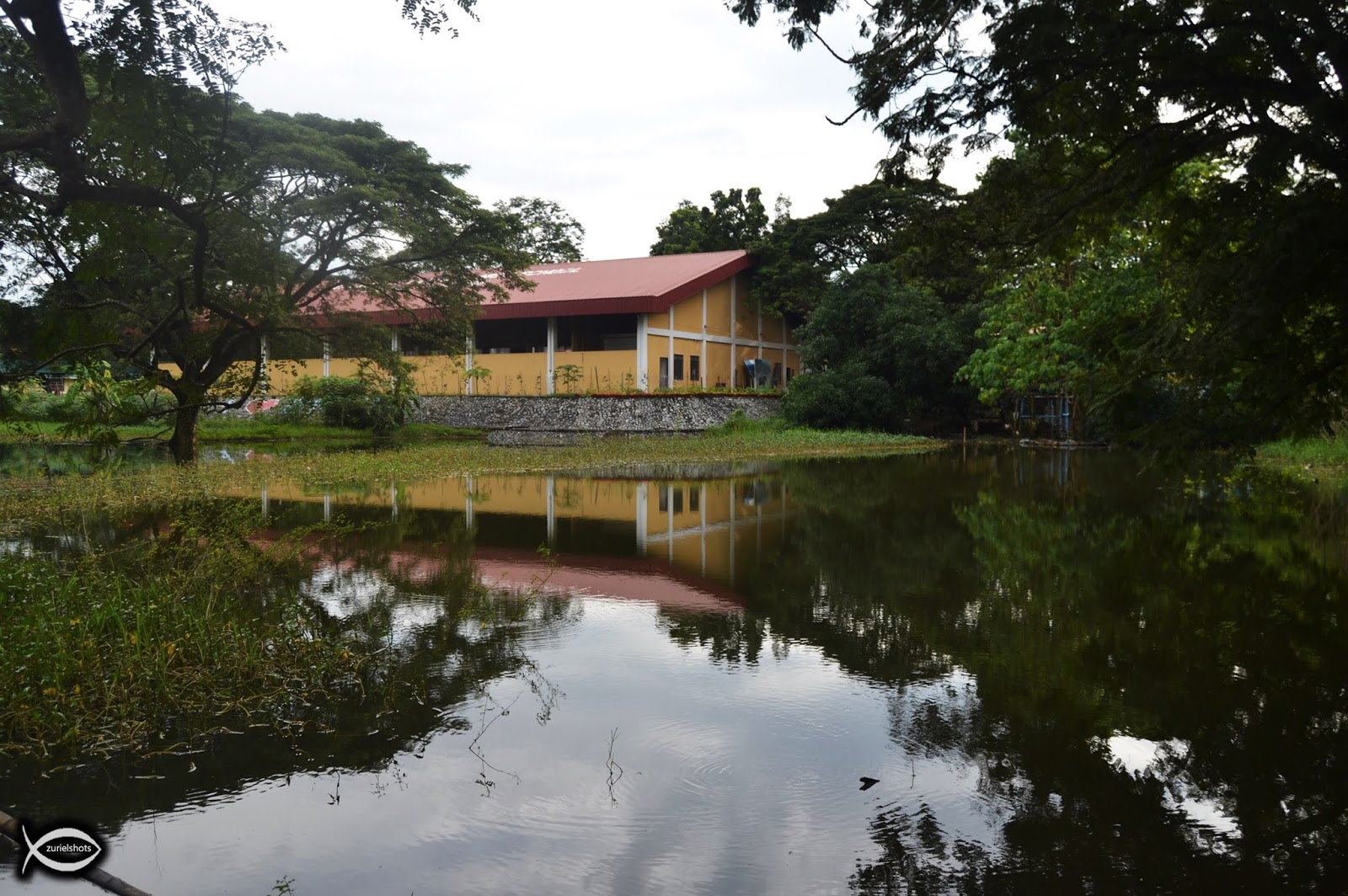 Zuriel Shots: Bayambang Nat'l High School