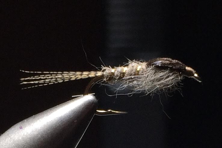 Caddis Chronicles: A Reader Writes - Thoughts on Nymph Color