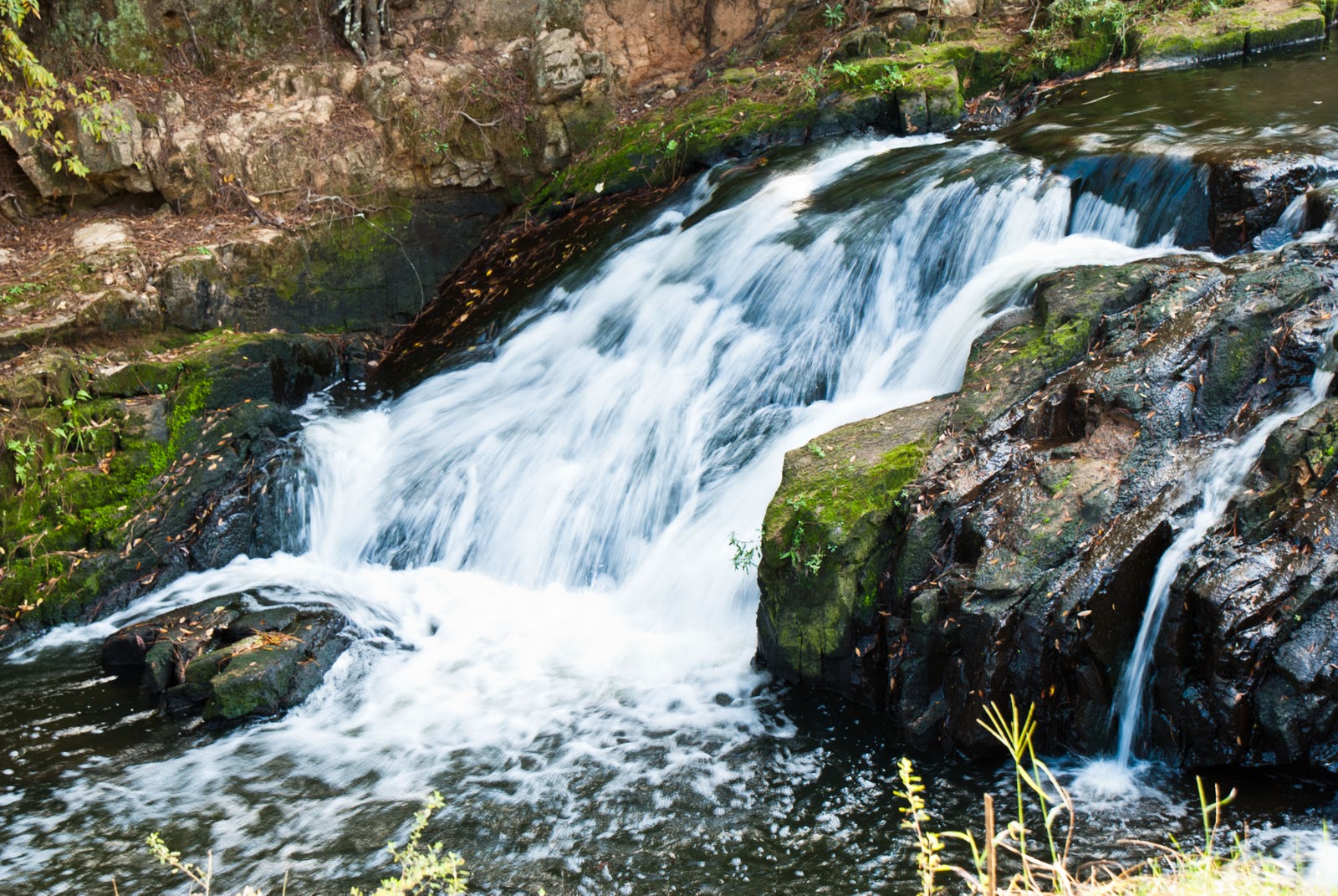 Augusta Georgia Daily Photo: Savannah Rapids Waterfall