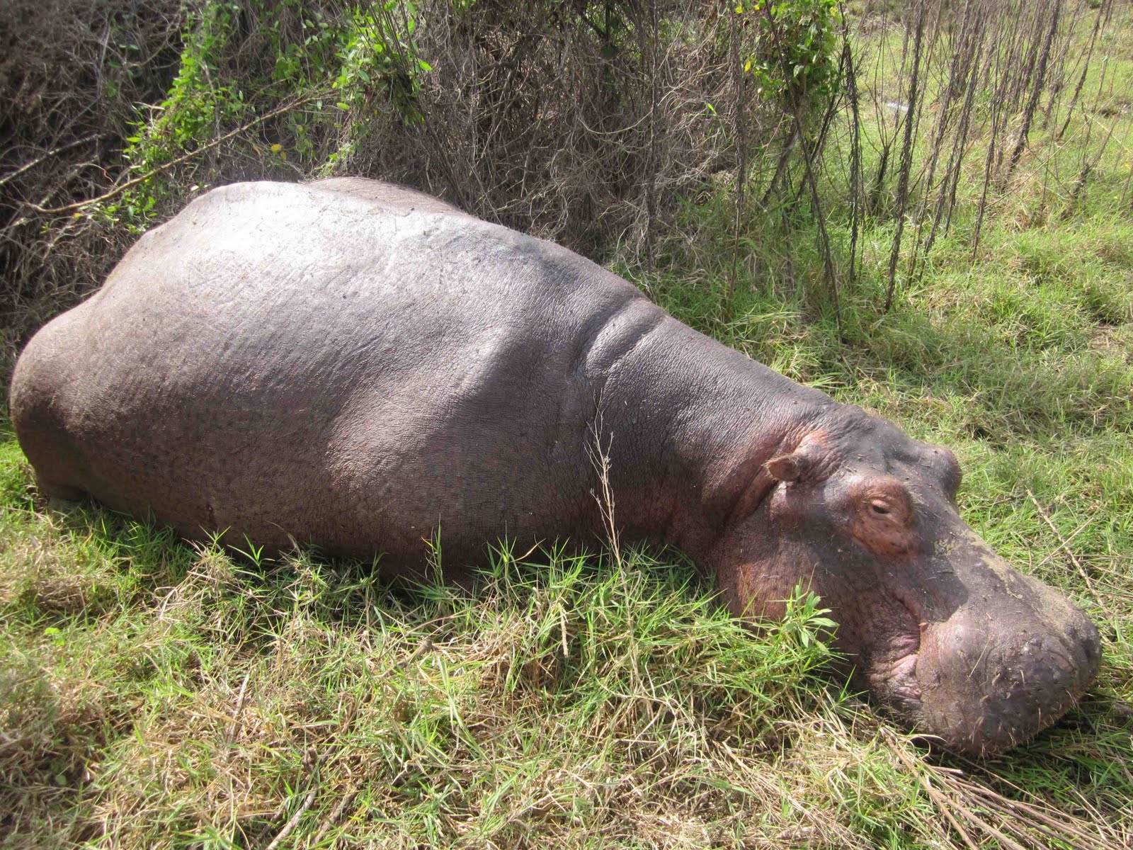 Experience everything once!: Waste not, want not (August 4, 2011)