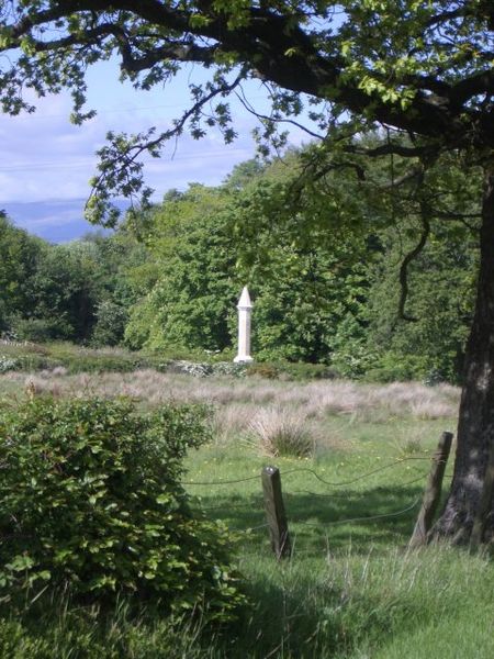Historical Triumphs and Disasters: The Battle of Falkirk, 1298