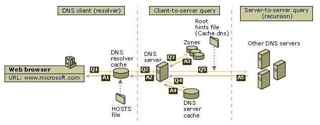 Pengertian, Fungsi, Manfaat, Dan cara kerja dari DNS (Domain Name ...