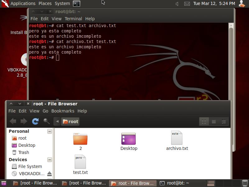 Comandos Básicos Backtrack