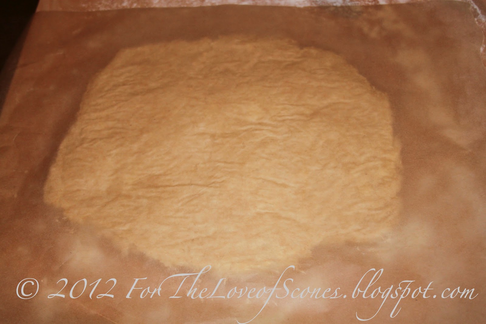 For the Love of Scones!: Fresh Cherry Scones