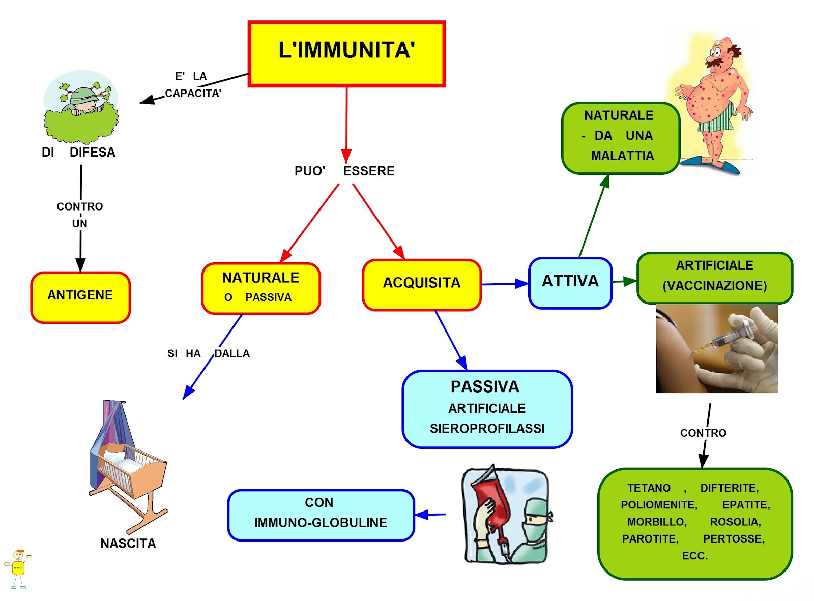 MAPPER: IMMUNITA'