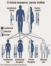 Medical Treatment Pictures-for Better Understanding: Kennedy Disease