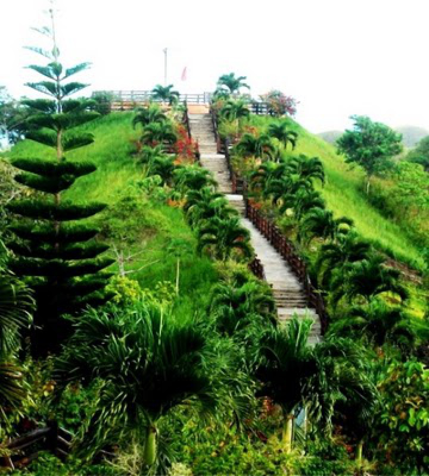 SHARE HOUSE BOHOL BLOG in Philippines near Cebu: Sagbayan Peak-Sagbayan ...