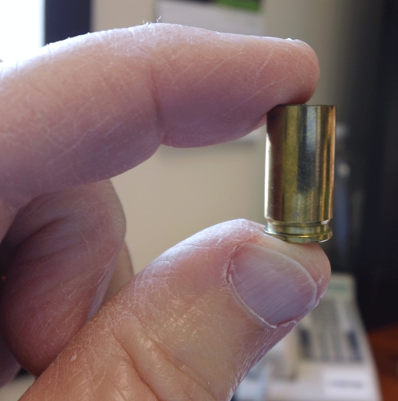 Scanning Electron Microscope Blog: Home on the Range? Not so much.