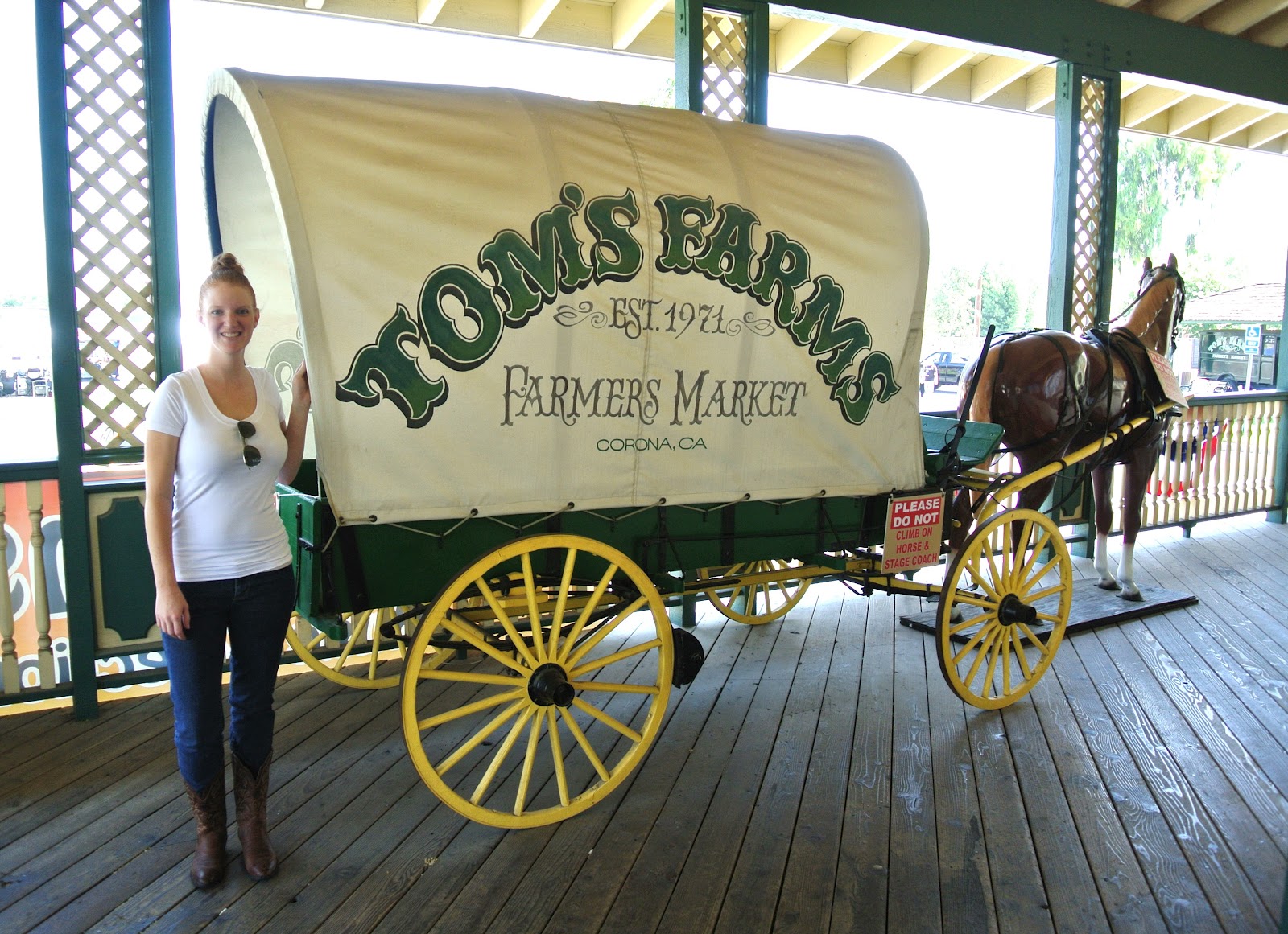 I Made the Flowers Myself: Tom's Farms - Corona, CA