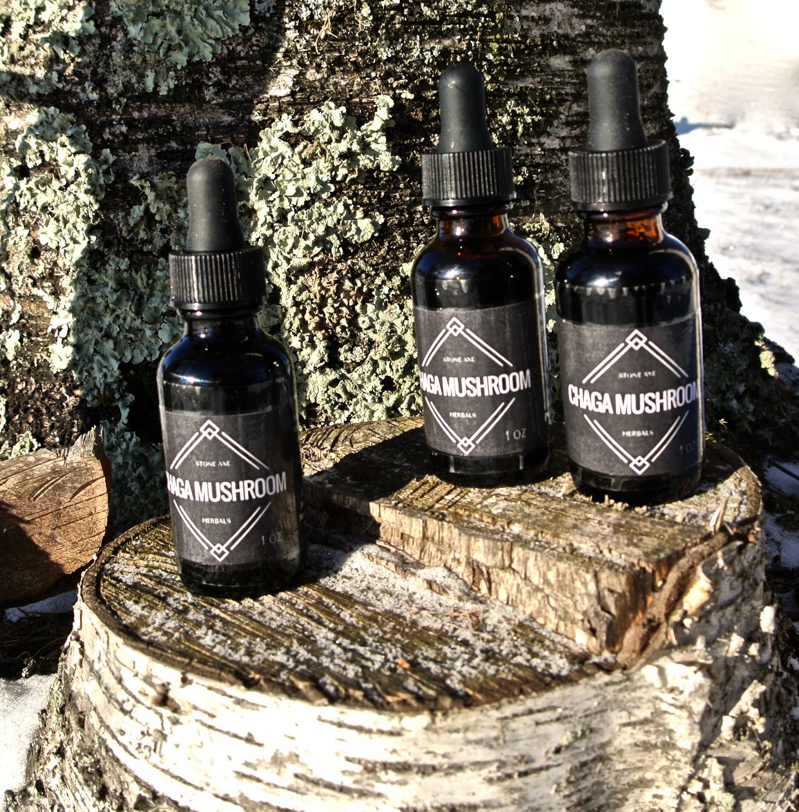 How to Harvest and Process Chaga Mushroom