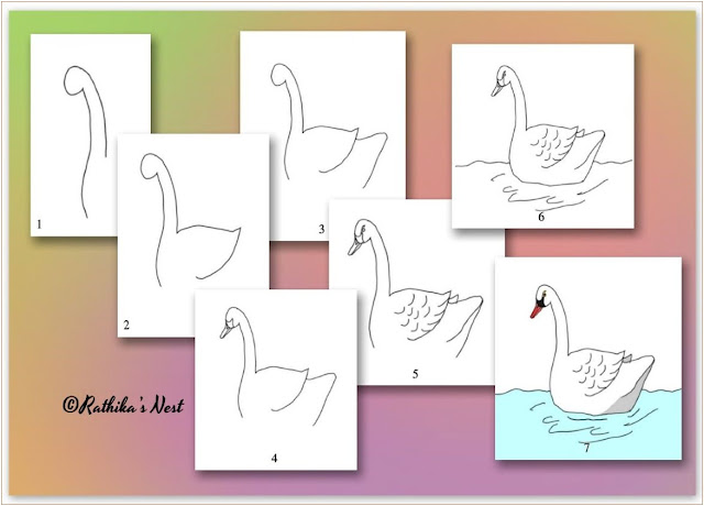 Rathika's Nest: How to draw a swan?