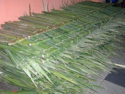 Padang Jawa - Masih Ku Ingat, Dulu Lain Sekarang Lain: Nipah - Jenis ...