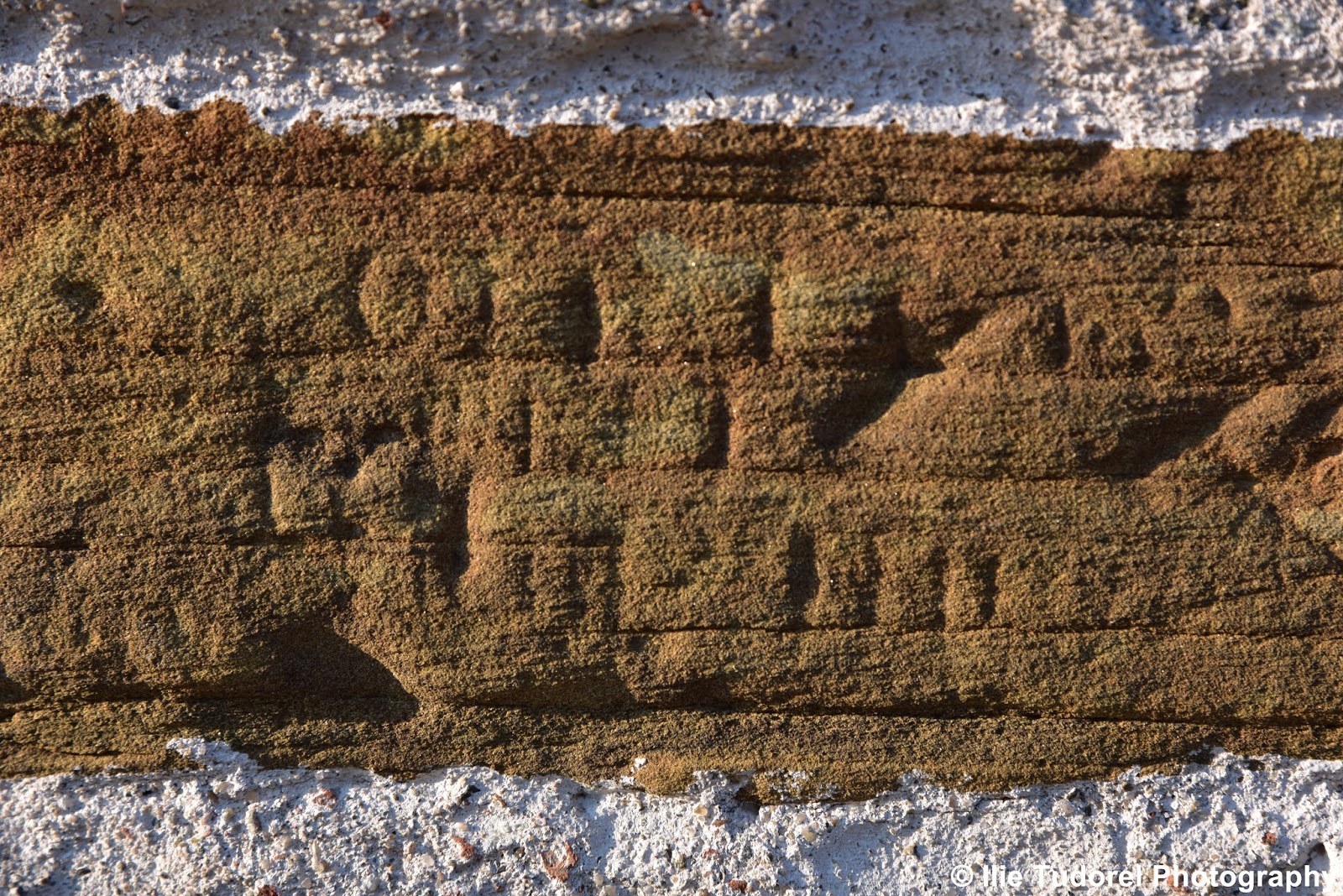 TUDOR PHOTO BLOG: Inscriptia de la Densus-judetul Hunedoara,The ...