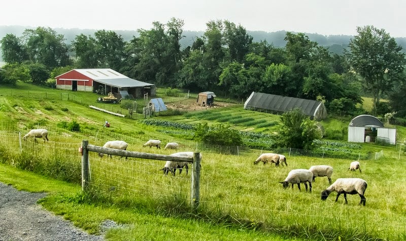 Homestead Hill Farm: 30 Days - the Backstory