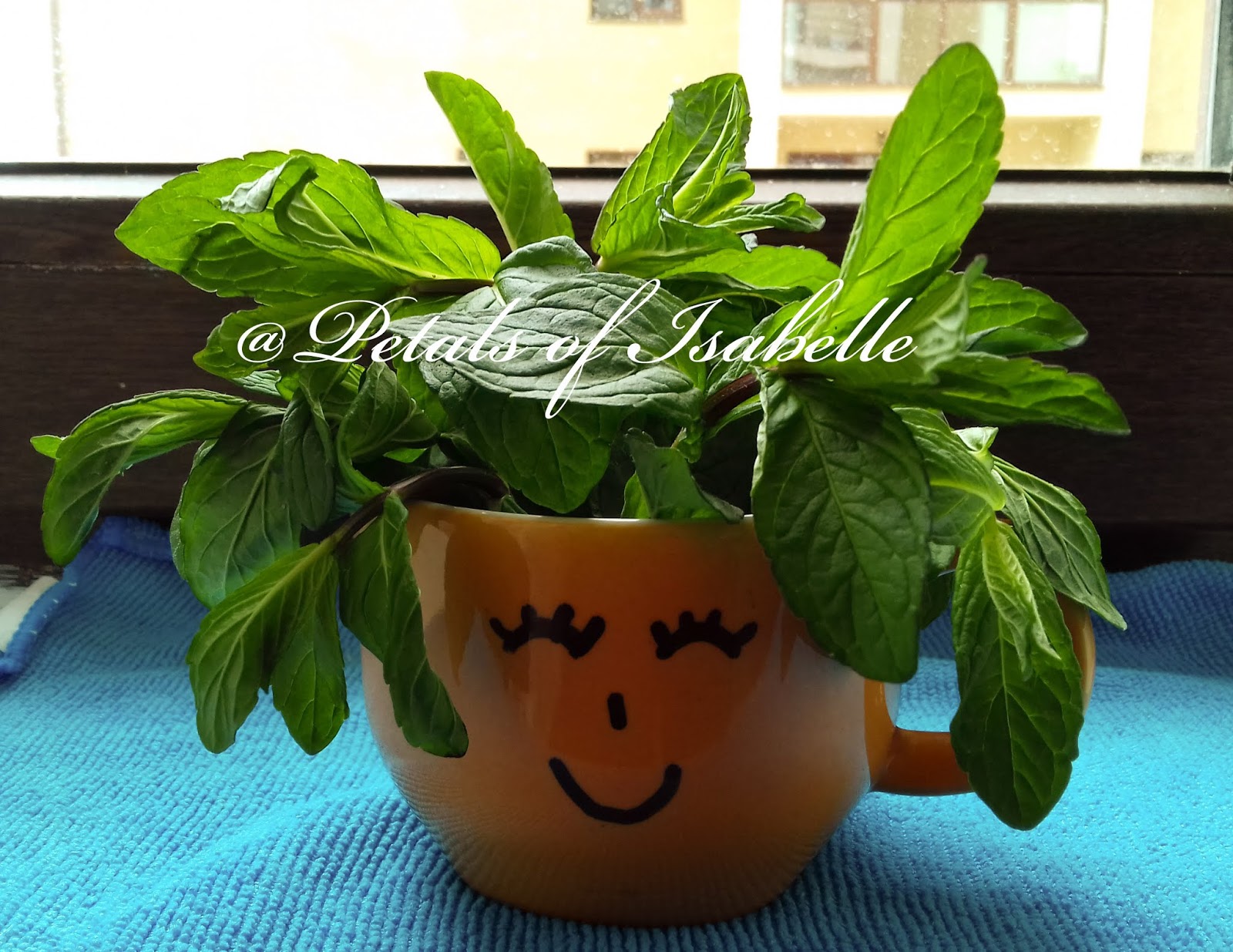 Petals of Isabelle: Zâmbet mentolat - Miercurea fără cuvinte