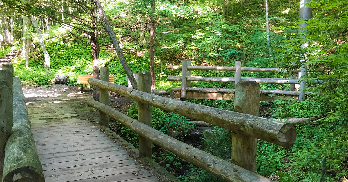 Hiking the Seven Bridges Trail in South Milwaukee