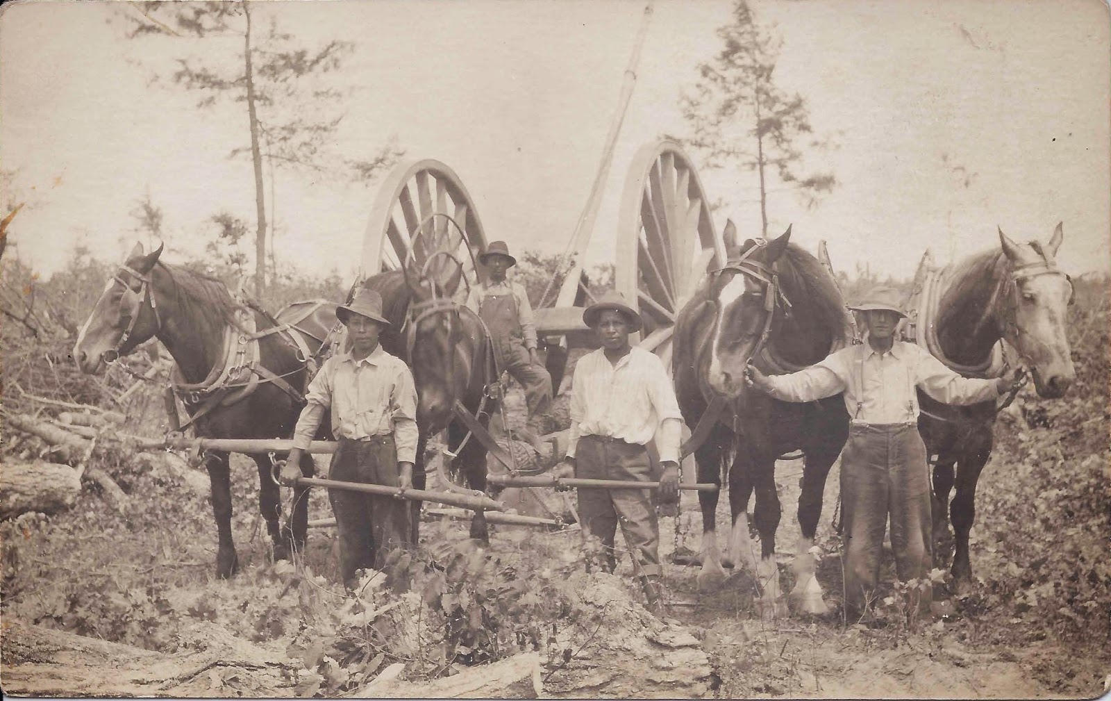 Isabella Conservation District Environmental Education Program ...
