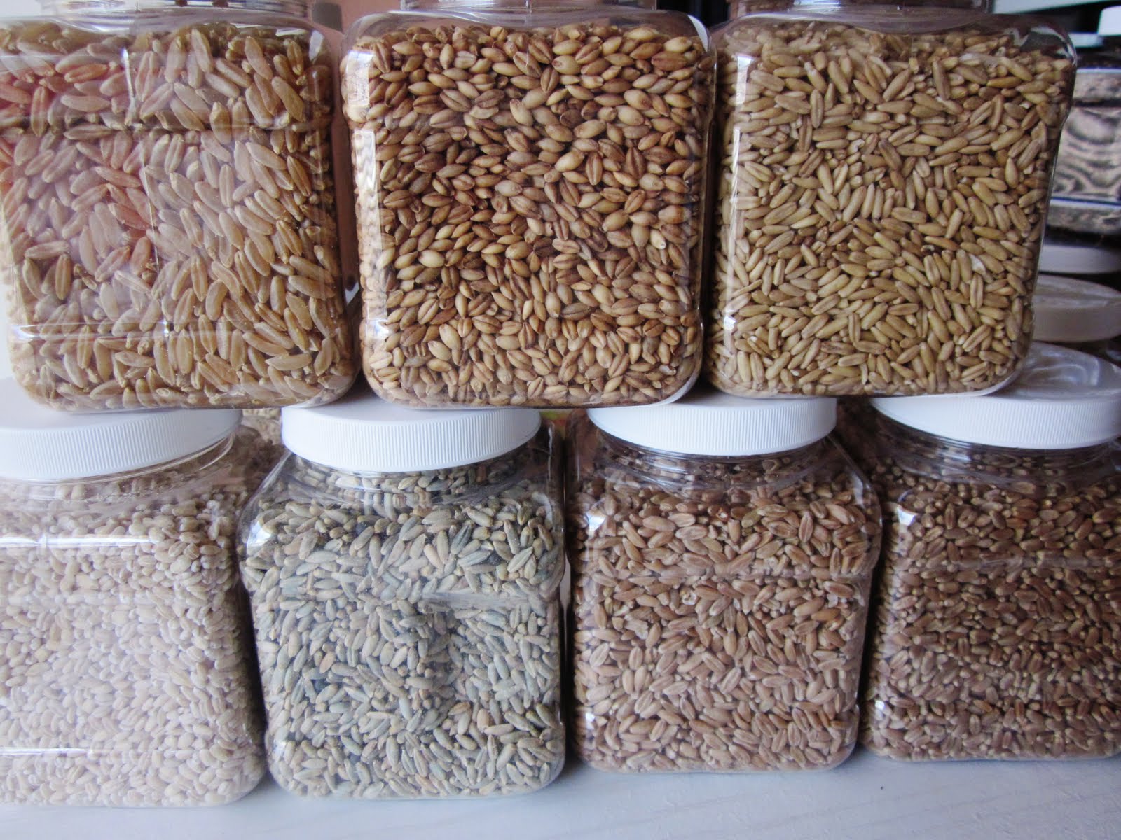 Preparing Wisely: Grain Surgery-- Basic Grain Identification 101