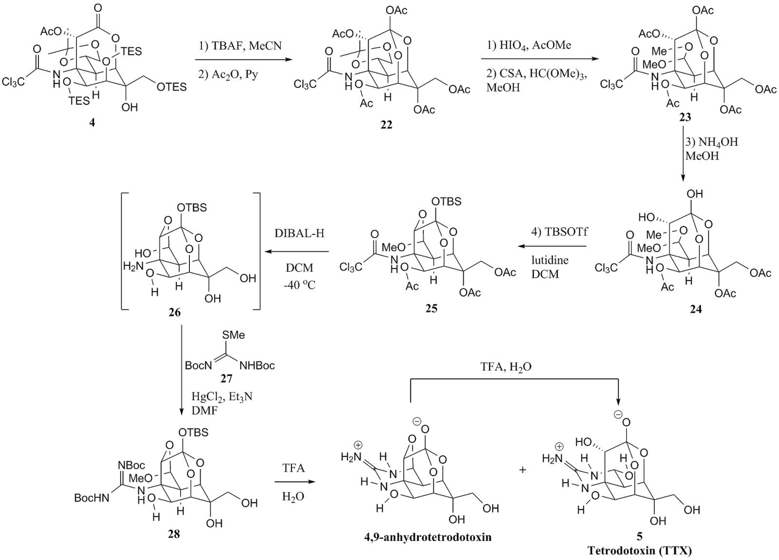 Tetrodotoxin