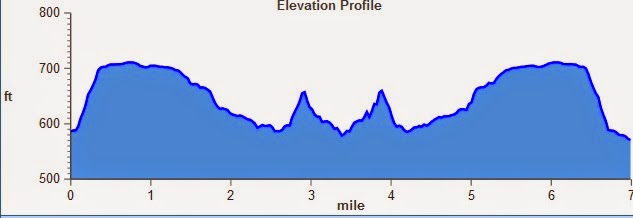 See Dane Run: Bix 7 Recap