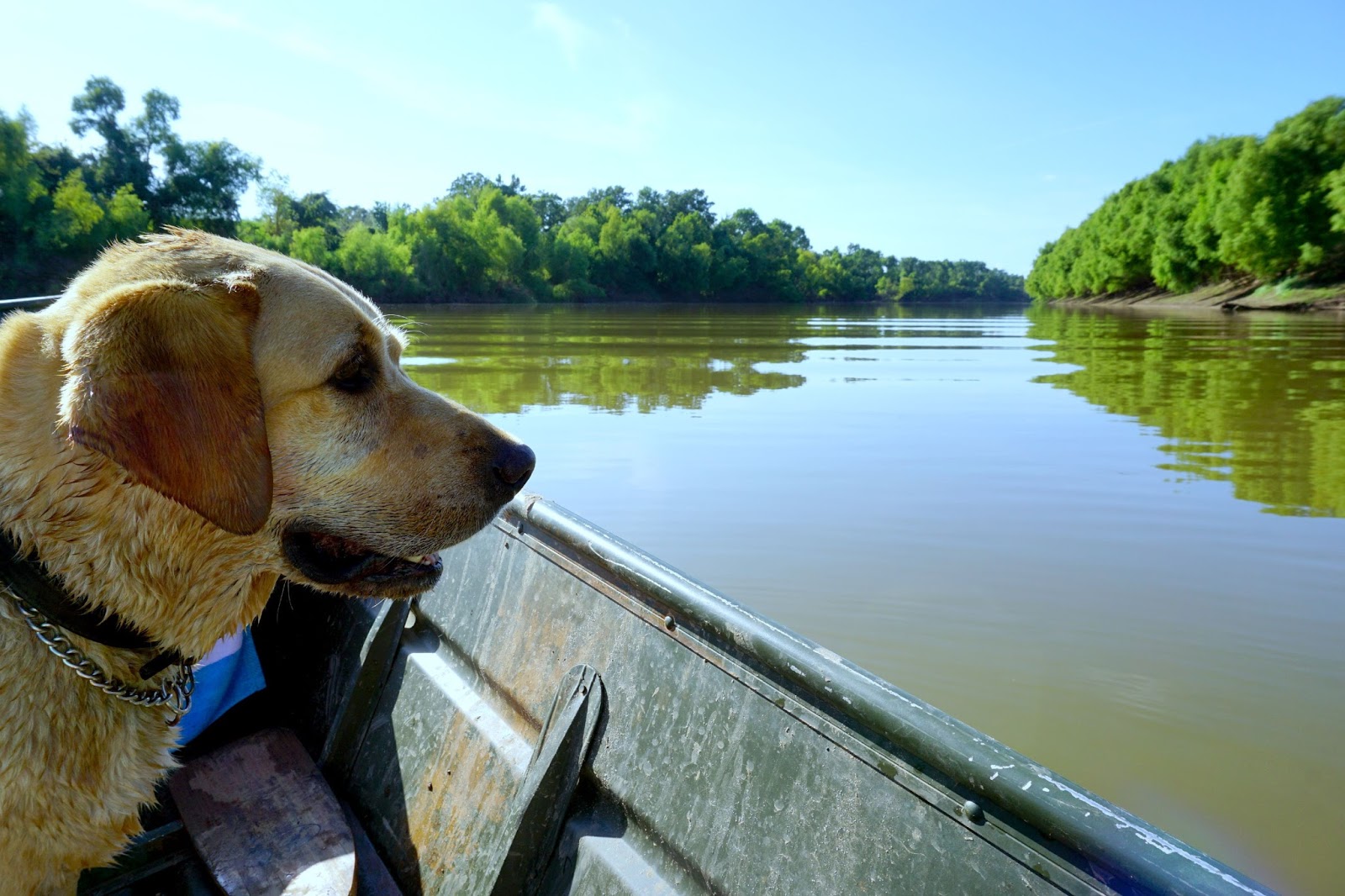 * Little House in the Country: Byyeeeee Summerrrrrrr!