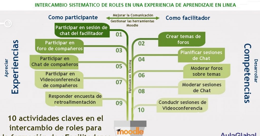 10 Actividades claves en el intercambio de roles para la formación de e ...