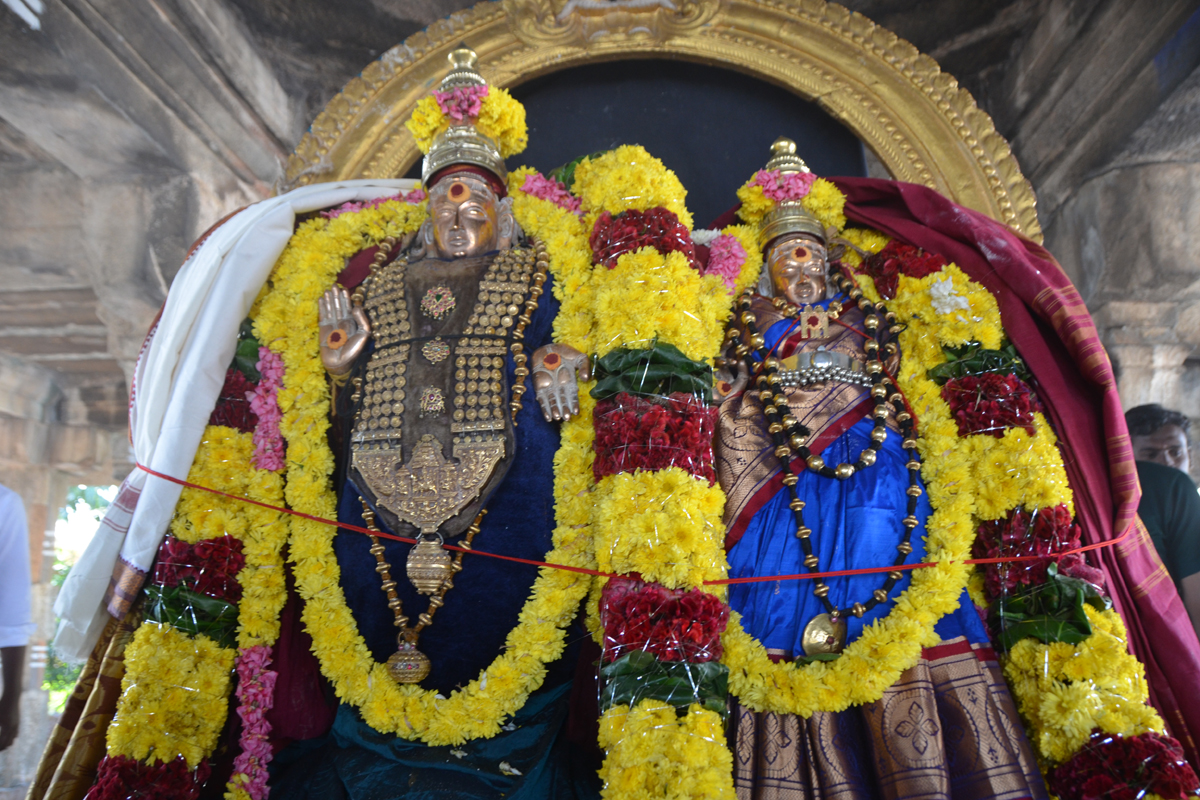 Uthrayana puniyakalam 2016: Thamari Kulam - ARUNACHALA GRACE