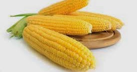 Saúde & Nutrição: Milho... Origem, Composição Nutricional ...