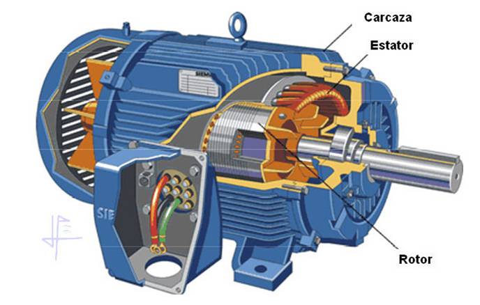 Equipos y Sistems Eléctricos II: Partes de un Generador