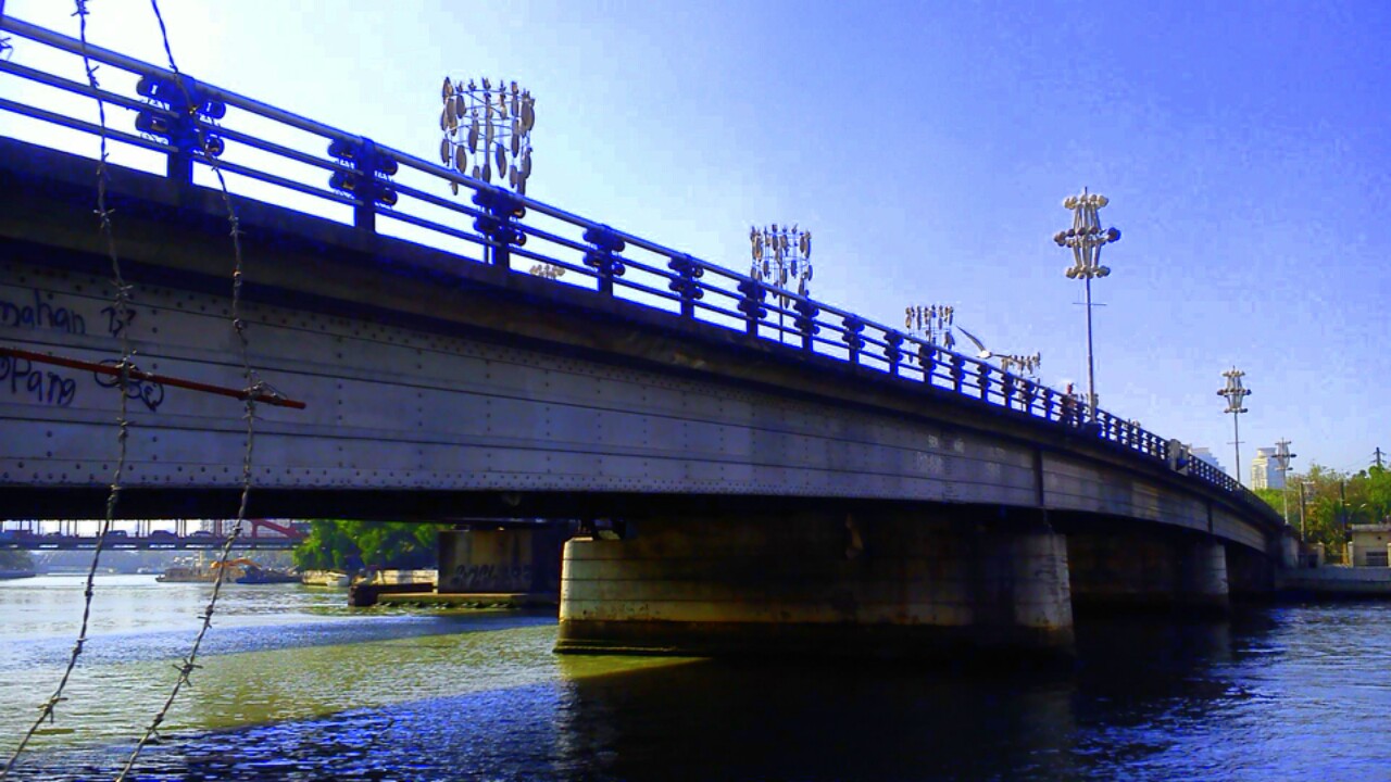 My Metro Manila Photo Blog: Bridges of Manila, Philippines