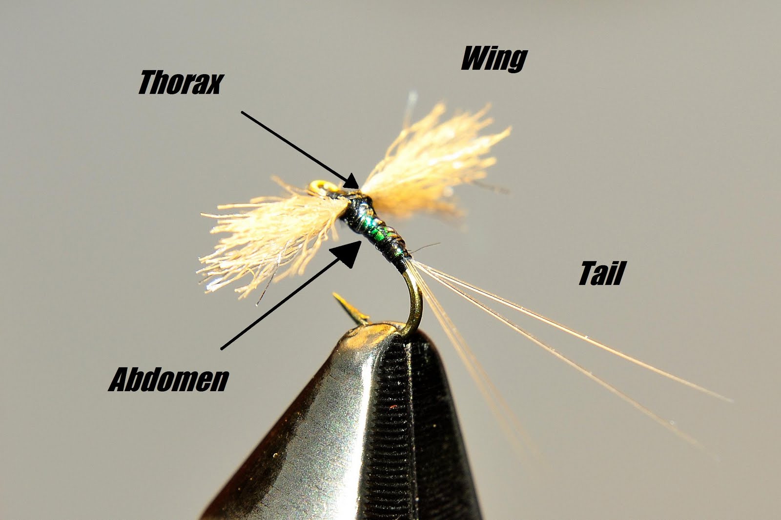 Colorado Fly Fishing Magazine: Kleis's Back To Basics "Bug Parts - The ...