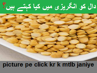 daal دال meaning in english pulse means in urdu ~ Watch And Learn