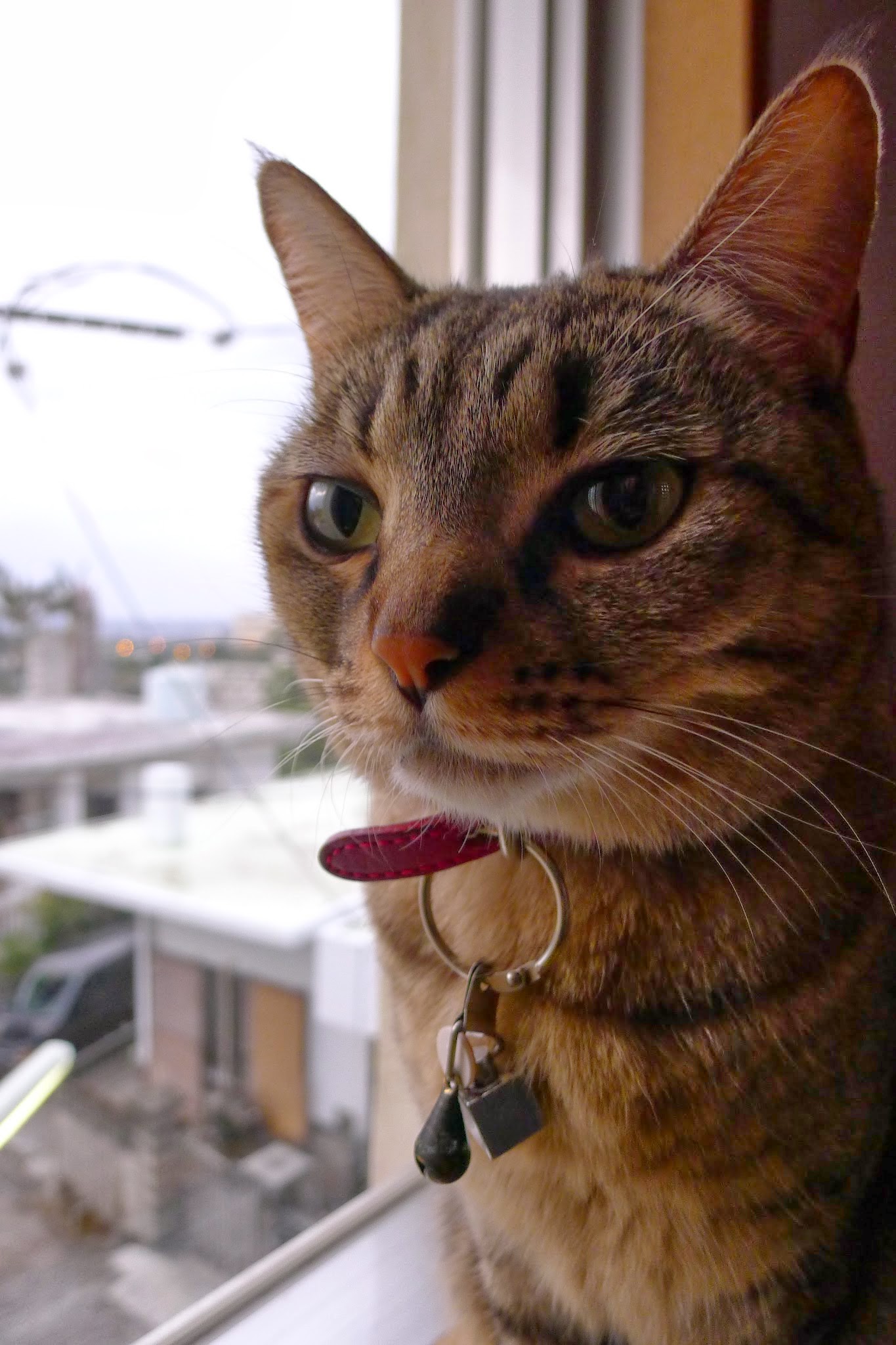 uyabin の 思いつきとやっつけ: RFC 1925