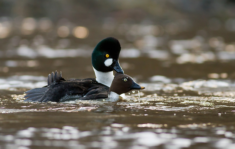 Zsombor Károlyi's Photo Blog: Spring break - Part 1