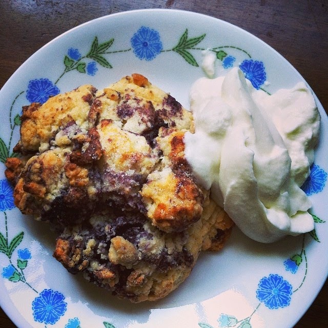confessions of a cook: Delicious Mulberry Scones!