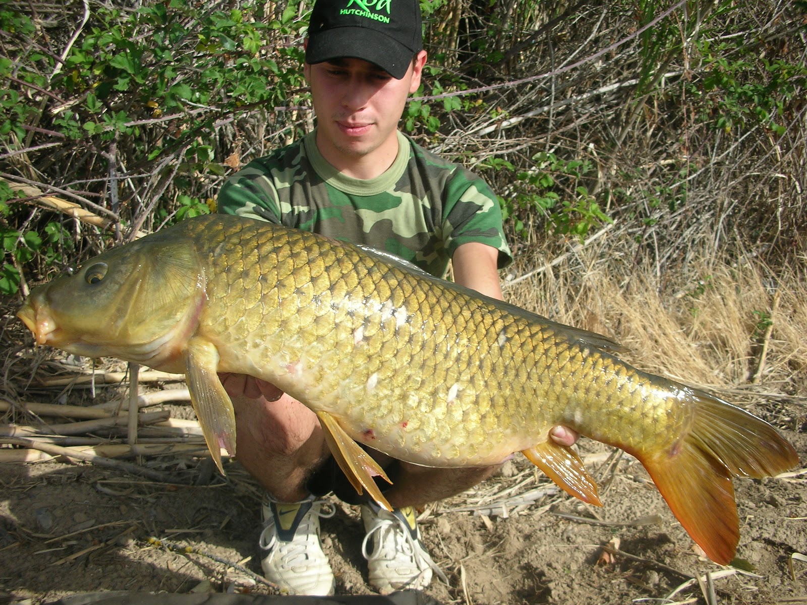 100X100 CARPFISHING: ¿Ola de calor?