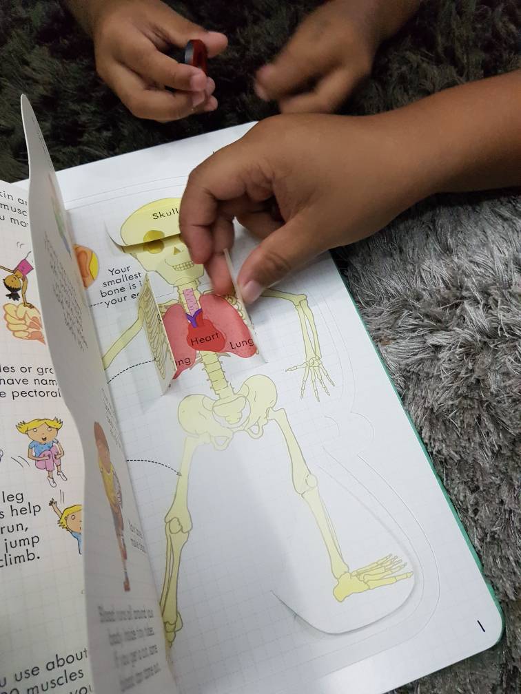 Anak Saya Bijak: Inside Your Body - a good start for your kids to ...