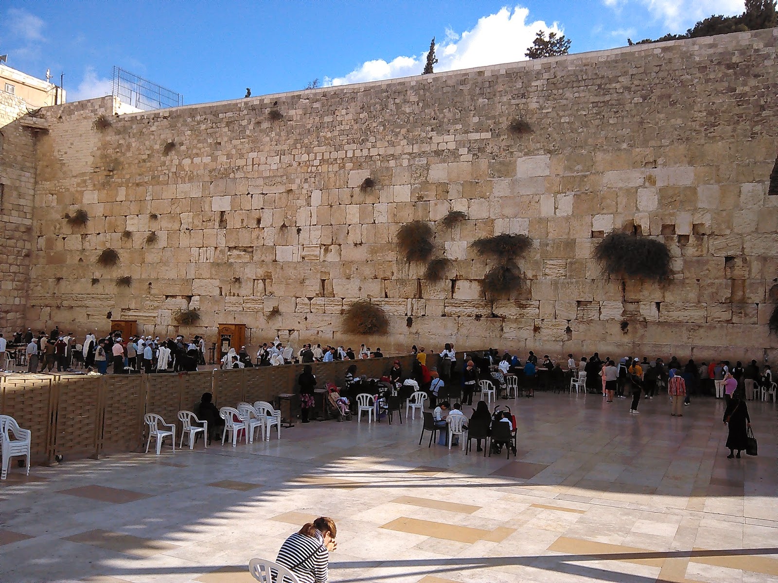 the faithpal: wailing wall