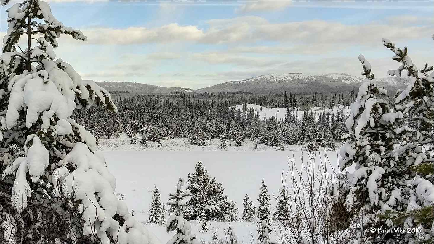Northern Interior British Columbia: Winter's December 2015 Snowfall 2 ...