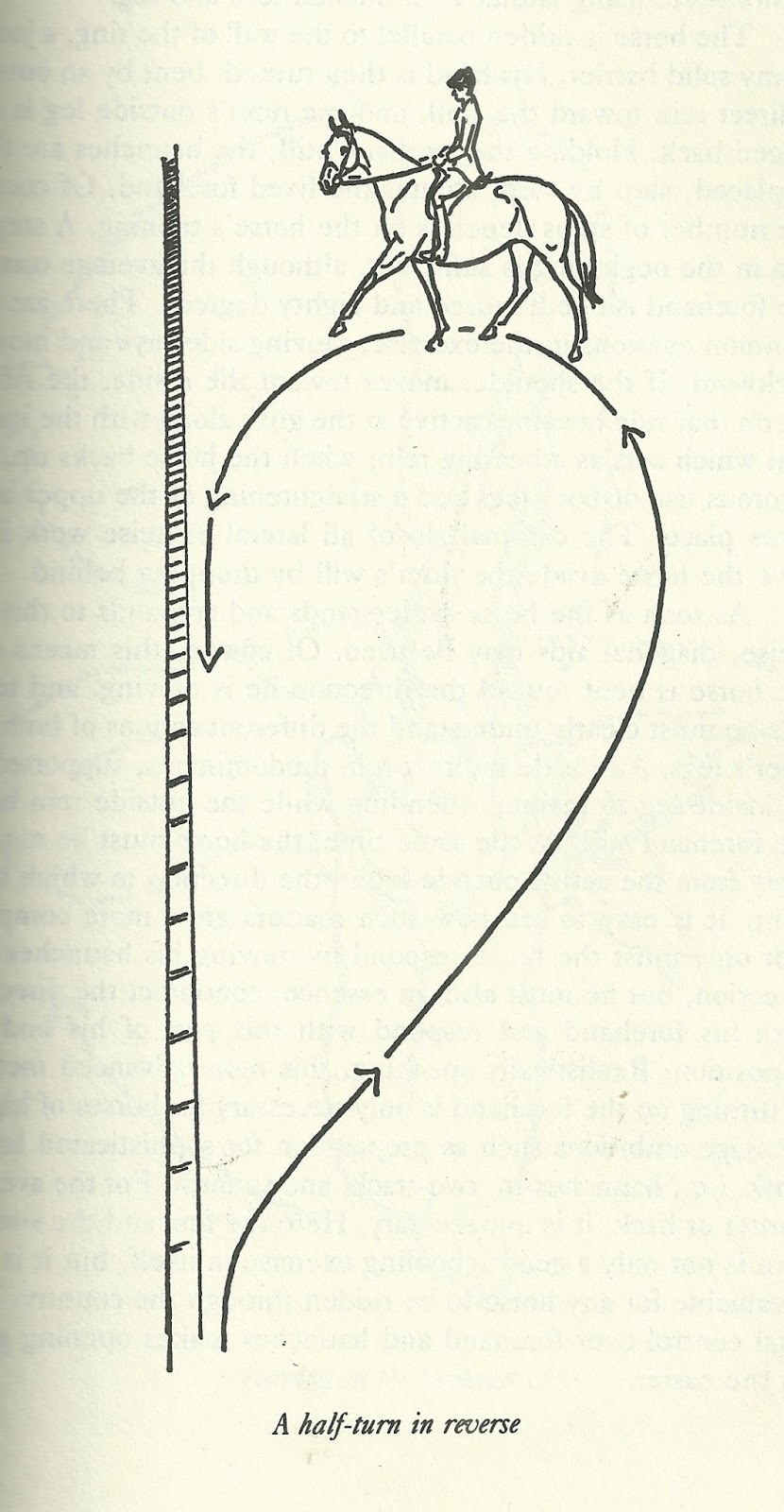 Horse Riding Philippines: Yana's Horse Riding Lesson - Canter (Moving ...